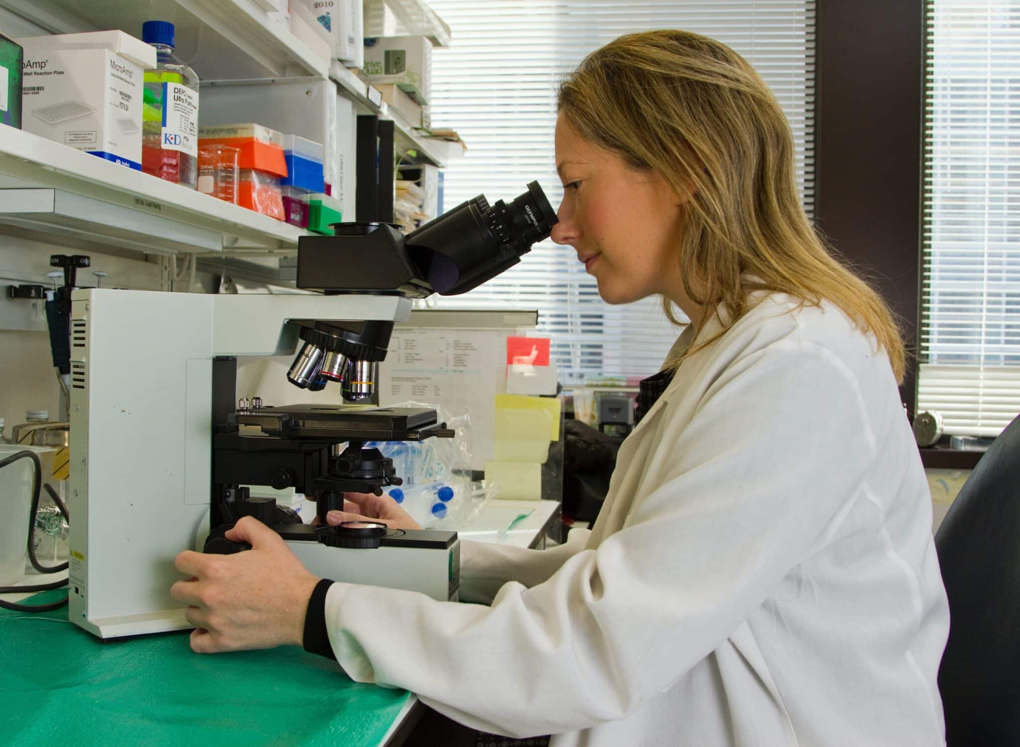 Phase 4 Clinical Trials Explained - Grants for Medical