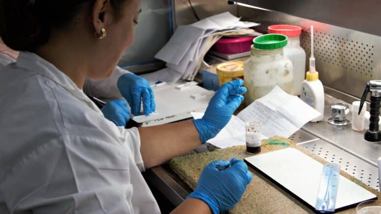 Being a Pathologist | Responsibilities and Requirements