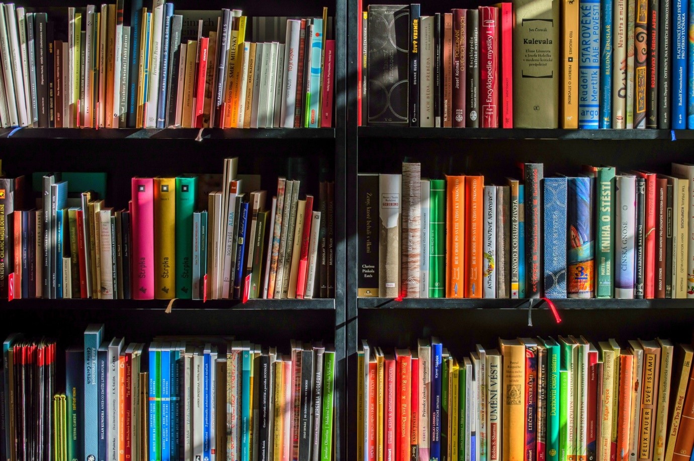 7 of the Best Books for Primary Care Physicians
