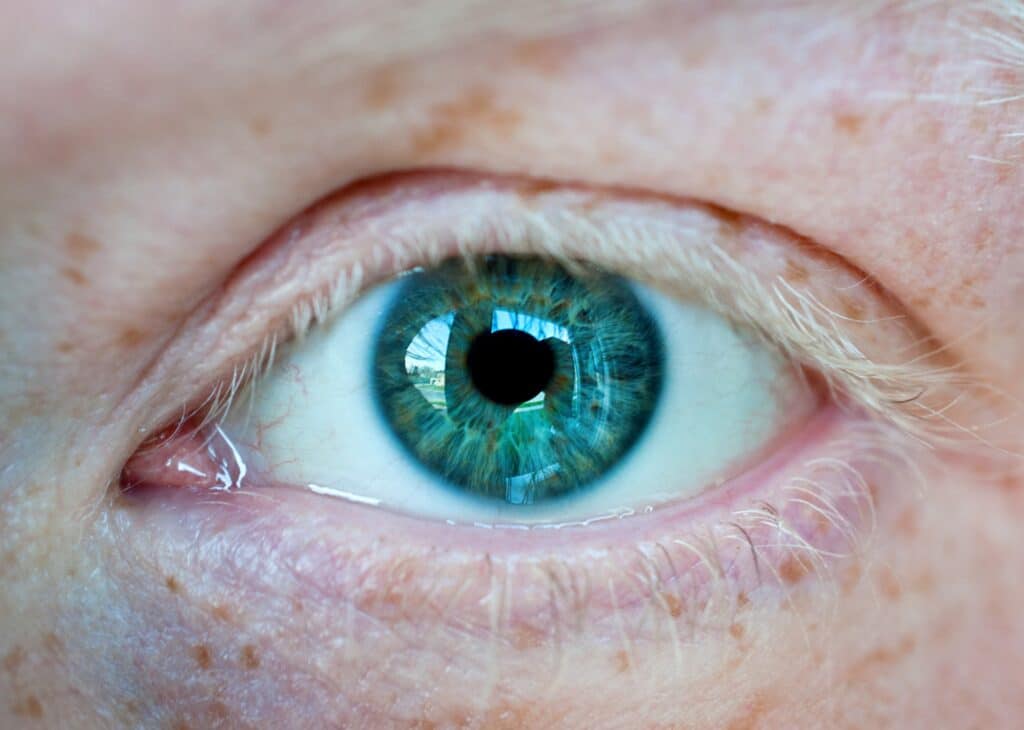 Eye Exam Without Insurance Grants For Medical